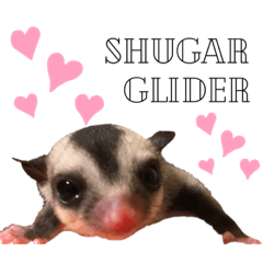 h.momonga_201905 – LINE stickers | LINE STORE