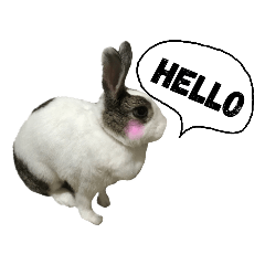 Rabbits world – LINE stickers | LINE STORE