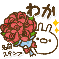 [Waka] Name sticker of carrot rabbit – สติกเกอร์ LINE | LINE STORE