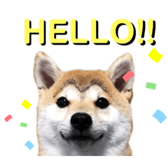 Louis_eyebrow – LINE stickers | LINE STORE