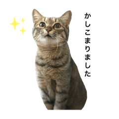 Kana_20190522 – LINE stickers | LINE STORE