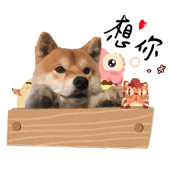 Shan Shan_20190523214310 - Stiker LINE | LINE STORE