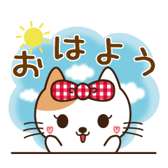 Ribbon cat Everyday sticker | Yabe-LINE貼圖代購 | 台灣No.1，最便宜高效率的代購網