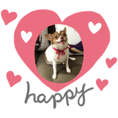 My lovely pudding the dog – LINE貼圖 | LINE STORE