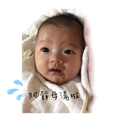 fanfan face – LINE stickers | LINE STORE