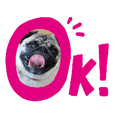 PugPug.S_20190605220206 – LINE stickers | LINE STORE