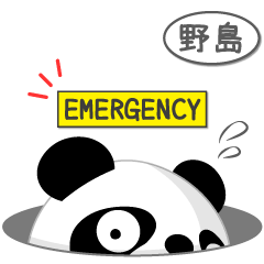 Mr. Panda for NOJIMA only [ver.2] – LINE stickers | LINE STORE