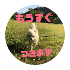 monaka.uni – Stickers LINE | LINE STORE