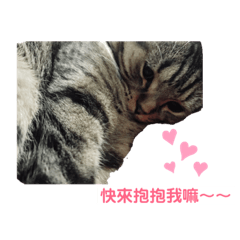 ruru_2 – LINE stickers | LINE STORE