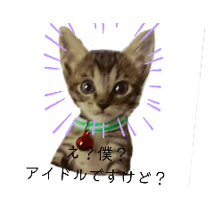 r_mama_ – LINE stickers | LINE STORE