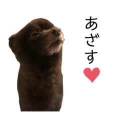 erieri_20190617202911 – Stickers LINE | LINE STORE