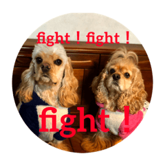 AYAKA_0620 – LINE stickers | LINE STORE