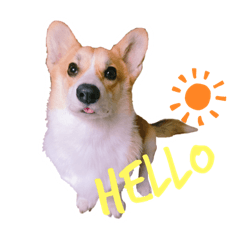 kelly everydays – LINE stickers | LINE STORE