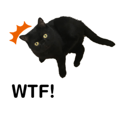 Jane_20190629012044 - Stiker LINE | LINE STORE