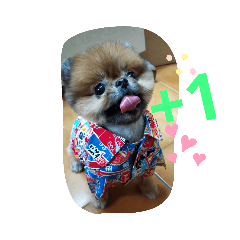 Jesse_20190629043019 – LINE stickers | LINE STORE