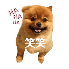 mari_20190704013229 - Stiker LINE | LINE STORE