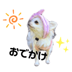 mami_20190704083400 - Stiker LINE | LINE STORE