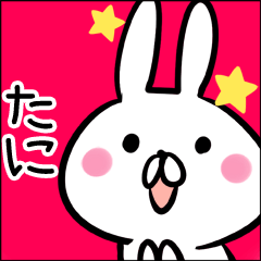 Tani name nichijyo usagi – LINE貼圖 | LINE STORE