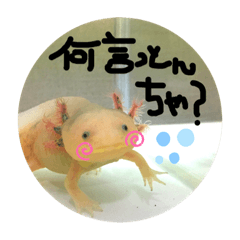 Otaki_20190708161025 – สติกเกอร์ LINE | LINE STORE