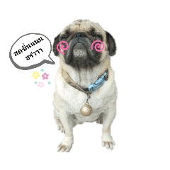 Manoch_ - Stiker LINE | LINE STORE