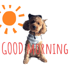 Kinomi_20190717035032 – LINE貼圖 | LINE STORE