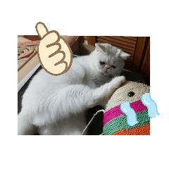 CHEN YU LING_20190718221951 – สติกเกอร์ LINE | LINE STORE