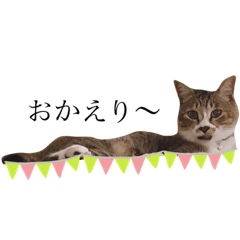 Rum.kome_20190723005245 - Stiker LINE | LINE STORE