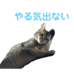 tk.cc_20190722230431 - Stiker LINE | LINE STORE