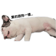 Abby chiu – LINE stickers | LINE STORE