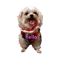 chang hsin yi_20190725204154 – Stickers LINE | LINE STORE