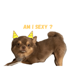 Mooddog – Stickers LINE | LINE STORE
