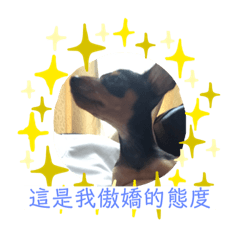 Fifi daily life – LINE stickers | LINE STORE