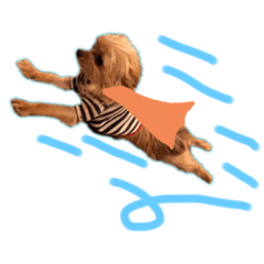 mcr_my dog – LINE 스티커 | LINE STORE