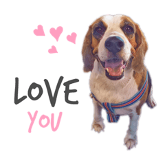 Bokki Bok Bok ver.1 – LINE stickers | LINE STORE