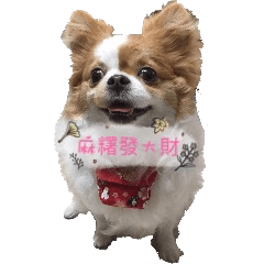 Enron LINE stickers & emoji | LINE STORE