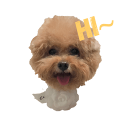 LI YI CHEN_20190810003645 - Stiker LINE | LINE STORE