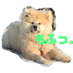 MARI_20190810143651 - Stiker LINE | LINE STORE