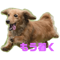 KANA_20190813183820 – LINE stickers | LINE STORE