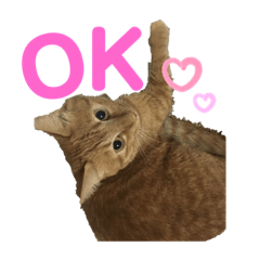 nori_20190819195019 – LINE stickers | LINE STORE