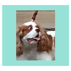 ERIC最愛KIKI第一彈♡ | Yabe-LINE貼圖代購 | 台灣No.1，最便宜高效率的代購網