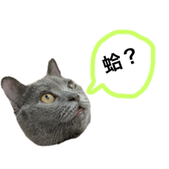 dust baby – LINE stickers | LINE STORE