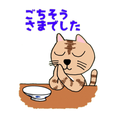 Polite polite cat – LINE stickers | LINE STORE
