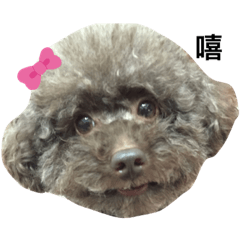 Dodo baby dog – LINE stickers | LINE STORE