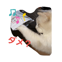 RYO_20190827211137 - Stiker LINE | LINE STORE