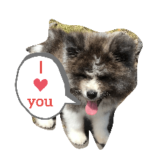 Akita Dog Bunta - Stiker LINE | LINE STORE