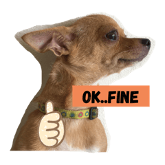 Confident dog – LINE stickers | LINE STORE