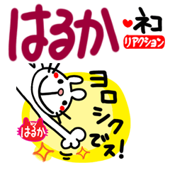 [haruka]Cat. - Stiker LINE | LINE STORE