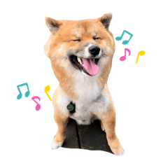 Leer_20190904004003 – LINE stickers | LINE STORE