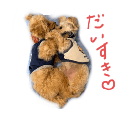 gaya_20190905002023 – LINE stickers | LINE STORE