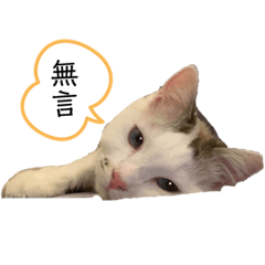 Big white.............. – LINE stickers | LINE STORE